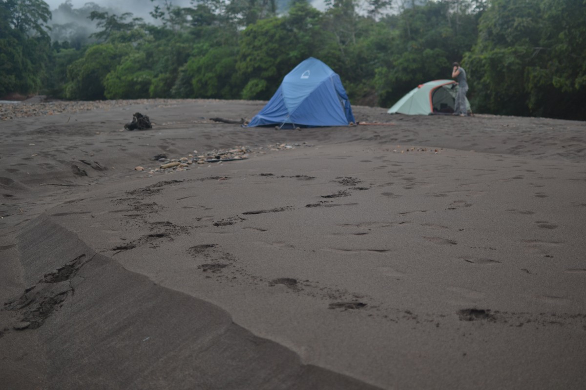 Tambopata Research Trip - June-July, 2014 (70 of 70)